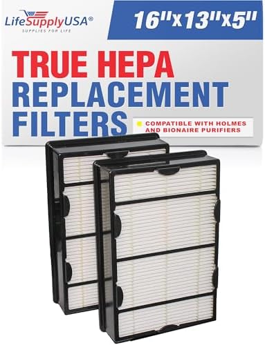 Amazon.com: Smart Air SA600 HEPA Replacement Filters (2 pk) : Home ...