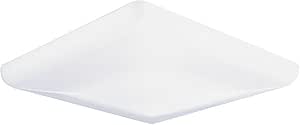 Lithonia Lighting DFMS20 M6 Square Acrylic Diffuser, 20-Inch, White ...
