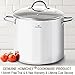 Amazon.com: HOMICHEF 16 Quart LARGE Stock Pot with Glass Lid - NICKEL ...