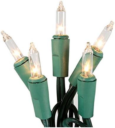 Amazon.com: 20 Count Mini Light 2 Pack - Clear : Home & Kitchen