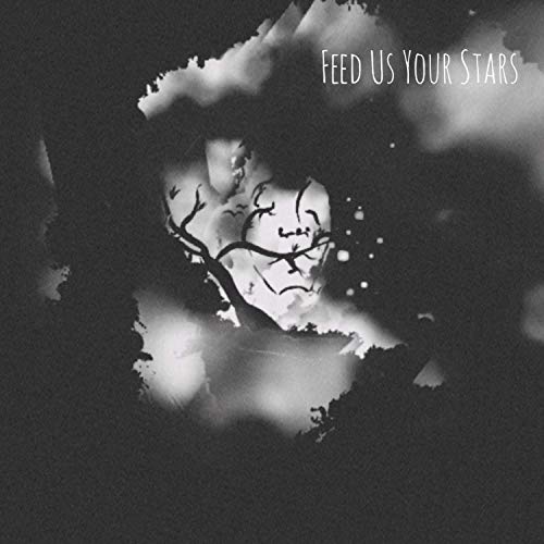 Play Feed Us Your Stars by Theo Hayes on Amazon Music