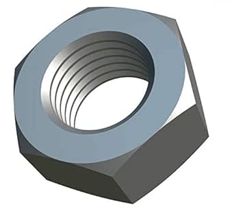 M18 Stainless Steel Hex Bolt Nut (Pack of 1) - Metallic with Coarse ...
