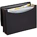 Amazon Basics Expanding Organizer File Folder, Letter Size - Black ...