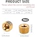 1/8" NPT Male Plug Fitting Set, 10 PCS Brass Plug Hex Counter Sunk Plug ...
