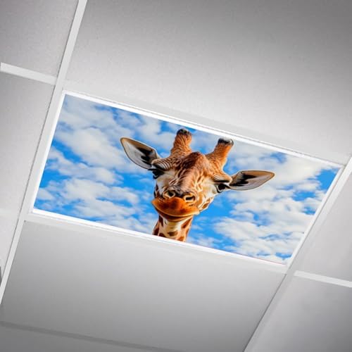 DIQISHIZHU Fluorescent Light Covers for Classroom Office - 2ft x 4ft ...