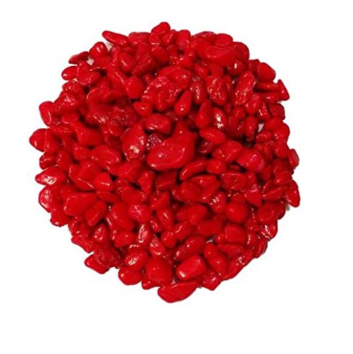 Decorative Stones 15 KG : Amazon.in: Home & Kitchen