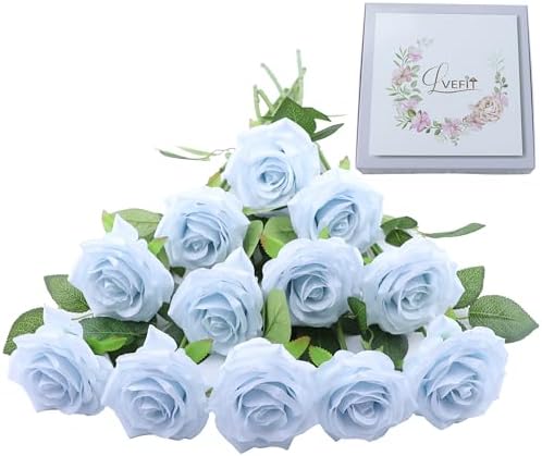 Katty Ferretti's Amazon Page