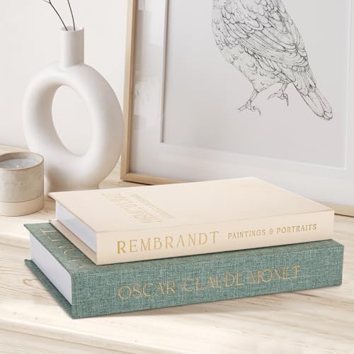 Amazon.com: Decorative Books Set of 2 - Linen Storage Boxes ...