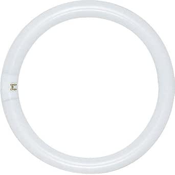 (Pack of 6) Satco S6506, 4100K 40-Watt 4 Pin T9 Circline Lamp, Cool ...