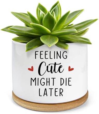 Amazon.com: Lasimfa Funny Succulents Plant Pots, Set of 2, Small ...