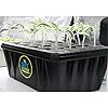Hydrofarm OX20SYS oxyCLONE 20 Site, Compact Recirculating Cloning ...