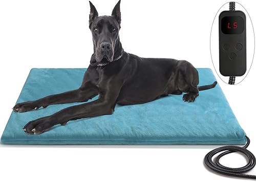 10 Heated Outdoor Pet Pads You'll Want to Snag Before Winter - Furry Folly