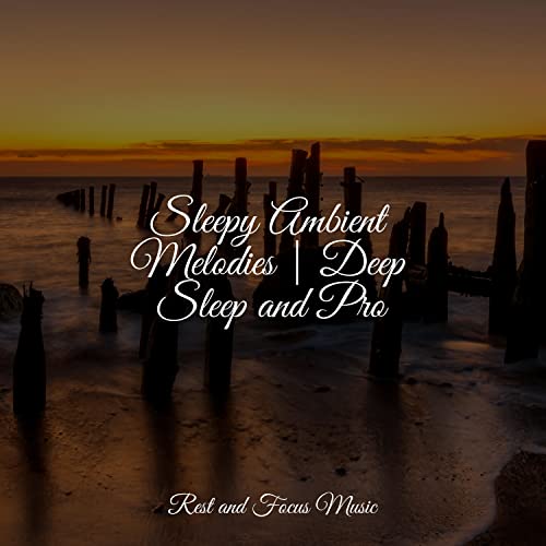 Play Sleepy Ambient Melodies | Deep Sleep and Pro by Study Zone, Spa & Spa & Regengeräusche on ...