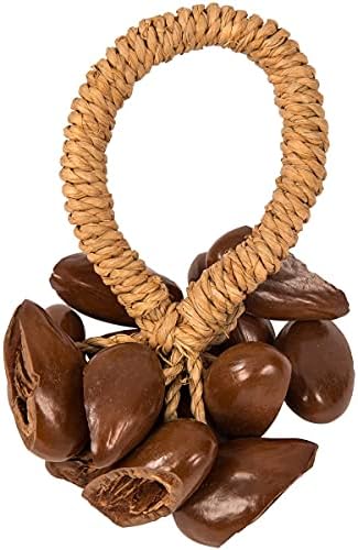 Amazon.com: Performance Percussion NS1 Nut Shell Shaker : Musical ...