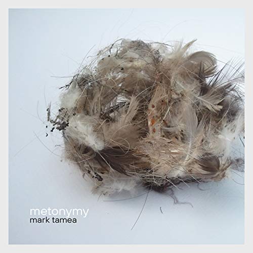 Amazon.com: Metonymy : Mark Tamea: Digital Music