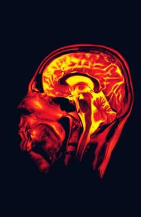 NEUROPLASTICITY: CHANGE THE WAY YOUR BRAIN WORKS THROUGH NEUROSCIENCE ...