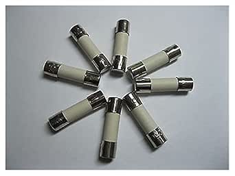 10 Pcs Slow Blow Ceramic Fuses T2A T4A T5A T6.3A T8A T10A 250V 5mm x ...