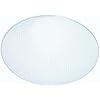 Westinghouse Lighting 81819 Corp 13-Inch Round Glass Diffuser - Close ...