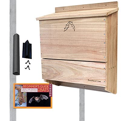 Find The Best Pole For Bat House Reviews & Comparison - Katynel