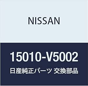 Amazon.com: Nissan 15010-V5002, Engine Oil Pump : Automotive