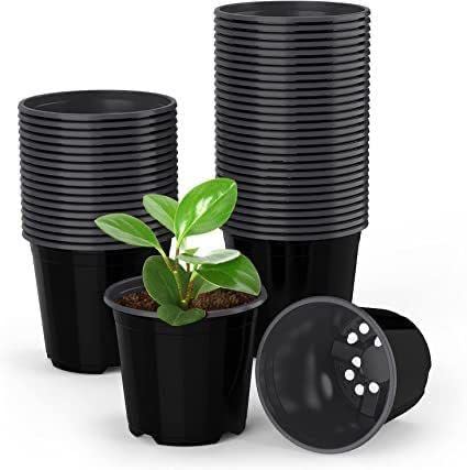 Oakwood Farms Stretchable Plastic Nursery Seedlings Pots/Planting Pots ...