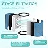 Amazon.com: HP302 NeverChange Replacement Filter Compatible with Shark ...