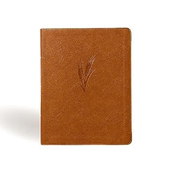 CSB Notetaking Bible, Large Print Edition, Camel Leathertouch ...