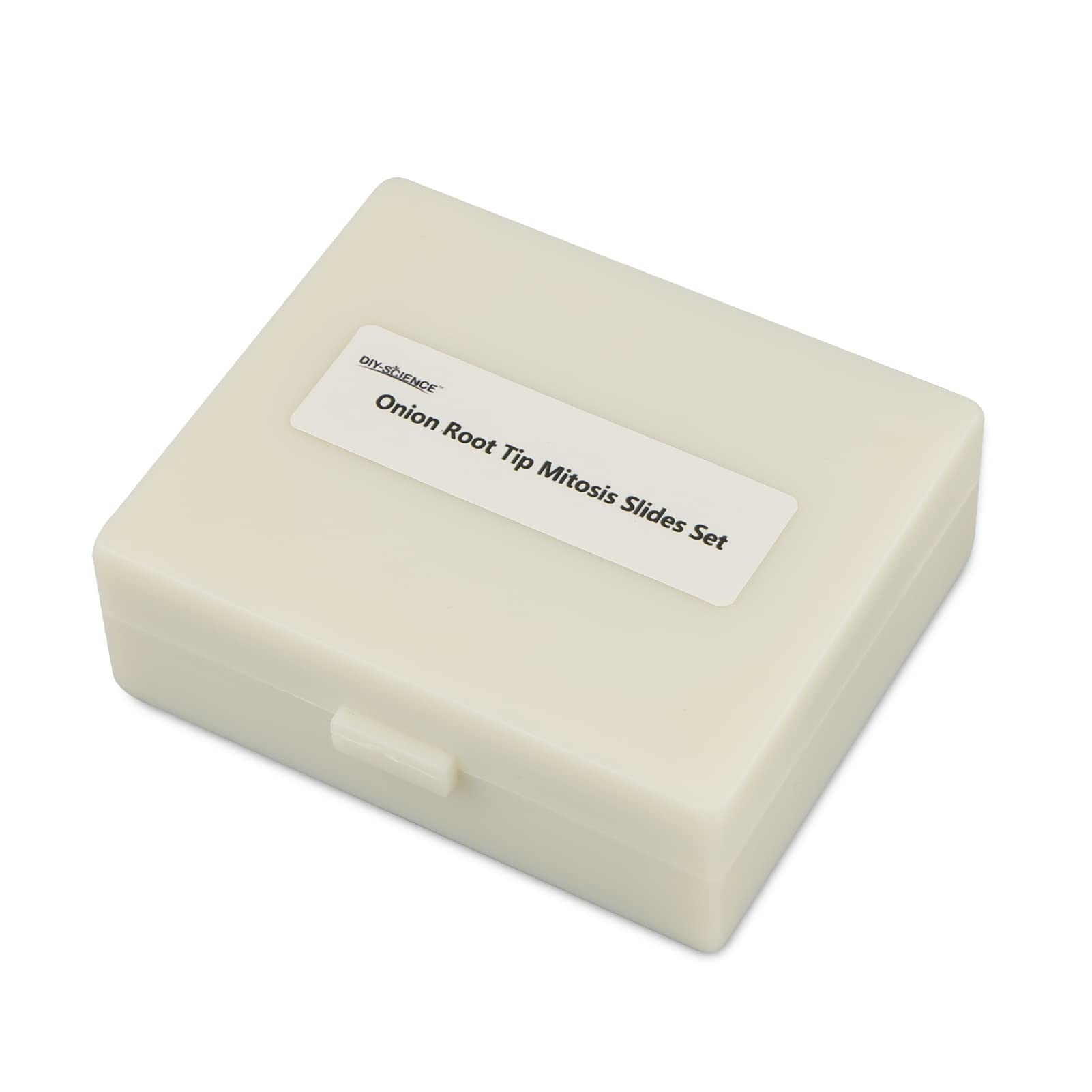 Snapklik.com : Onion Root Tips Mitosis Microscope Slides Set, 25PCS ...