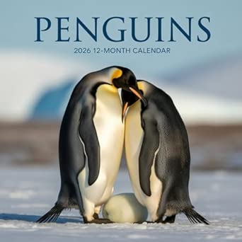 Penguins calendar 2026 12 monthly: Adorable Antarctic Wildlife Captured ...