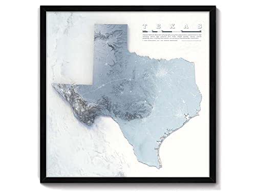 Amazon.com: GeoJango Maps, Texas State Physical Map; Topo Topographical ...