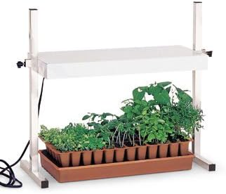 Amazon.com : Burpee Table Top Grow Light : Plant Growing Light Fixtures ...