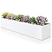 Amazon.com: DR&Co Modern Narrow Planter Box | 16" Metal Perfect as a ...