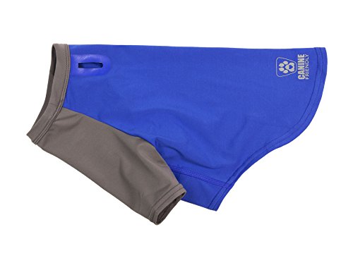 Top 6 Best Sun Protection Clothing for Dogs (For Cooling and Sunburn)