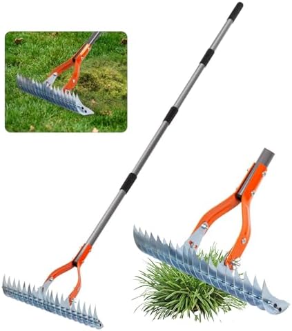 Caossuixin Thatch Rake with Handle for Lawns,15-Inch Garden Rake Heavy ...