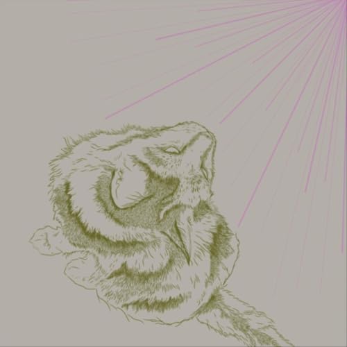 Amazon Music UnlimitedでSalt HorseのLucky Teethを