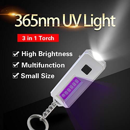 Mini UV Flashlight Keychain Black Light with Bright White LED Torch ...