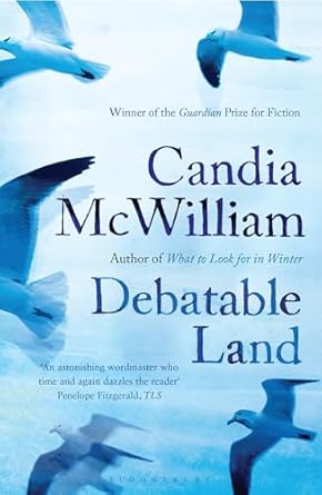 Debatable Land: Candia McWilliam: 9781408822999: Amazon.com: Books