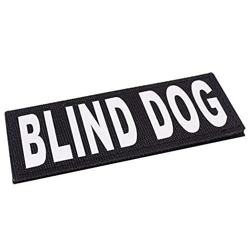 Find The Best Leash For Blind Dog Reviews & Comparison - Katynel