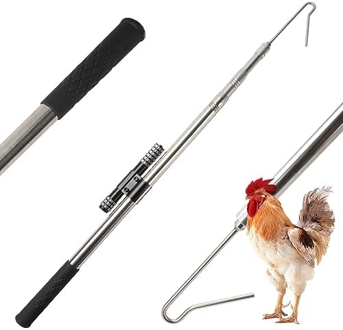 Amazon.com : Animal Catch Net, Poultry Catching Control Pole, Farm Trap ...