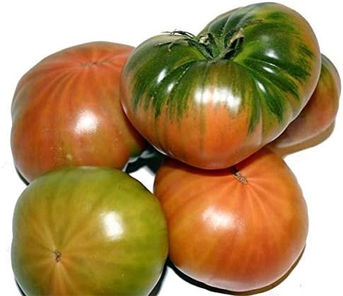 RAF Tomato Flavor 50 Best Seeds: Only Seeds : Buy Online at Best Price ...