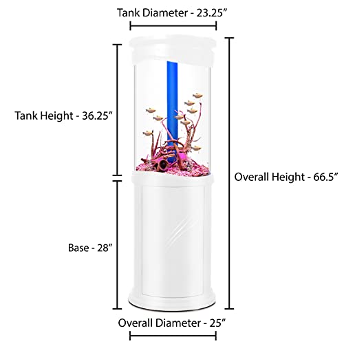 The 30 Best 100 Gallon Fish Tanks of 2026 [Verified] - Cherry Picks