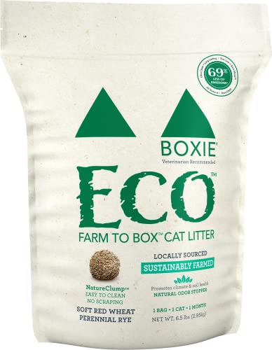 Boxiecat Litter – The 15 best products compared - Wild Explained
