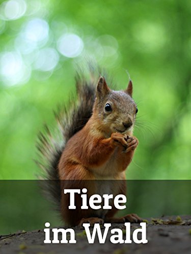 Holz Memory Tiere – Die 15 besten Produkte im Vergleich - kita.de Ratgeber