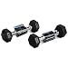 Buy Cockatoo (1 Kg -35 Kg) Rubber Coated Professional Hex Dumbbells ...