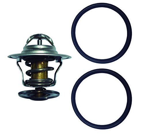 Junta Termostato Coche Carrefour ️ 2024