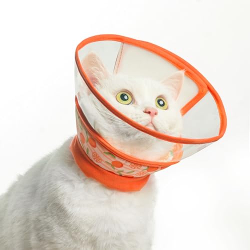 Cat Cones – The 15 best products compared - Wild Explained