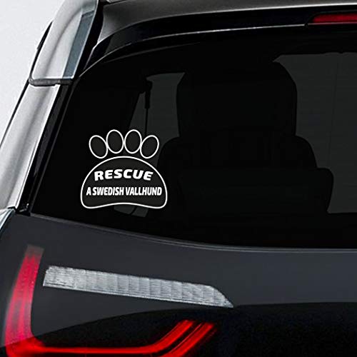 10 Must-Have Products for Your Swedish Vallhund Rescue: Our Ultimate ...