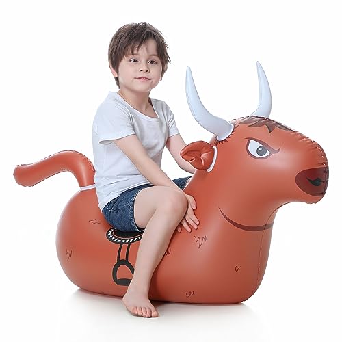 Top 10 Best Bull Float For Pool : Reviews & Buying Guide - Katynel
