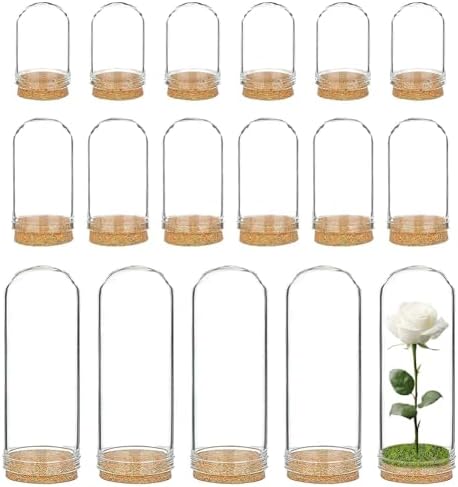 Amazon.com: Mezchi 50 Pack Cloche Bell Jar, Mini Glass Jars with Cork ...