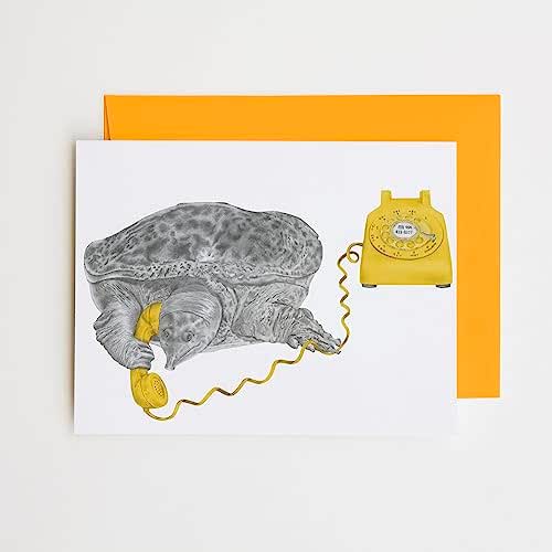 Amazon.com: Otis Idlewood Florida Softshell Turtle Note Card A6 (4.5” x ...